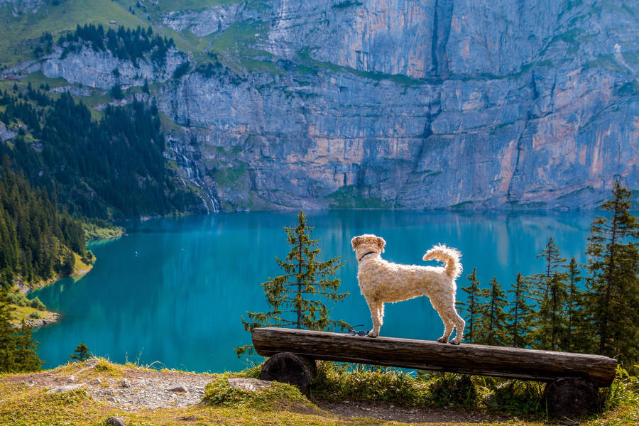 99.3 WAJK Listen Live - La Salle, United States | Online Radio Box