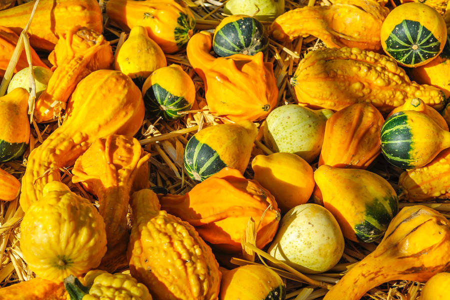 Radio Cima 100 FM en Vivo - 100.5 MHz FM, Santo Domingo, República ...