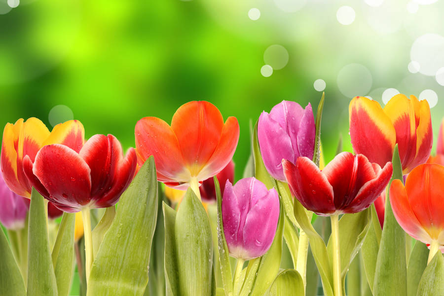 Magic 96.5 Listen Live - Birmingham, United States | Online Radio Box