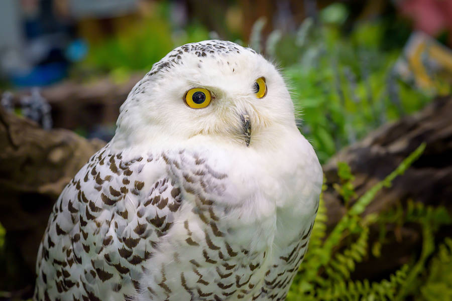 KKBJ Talk Radio 1360 AM Listen Live - Bemidji, United States | Online ...