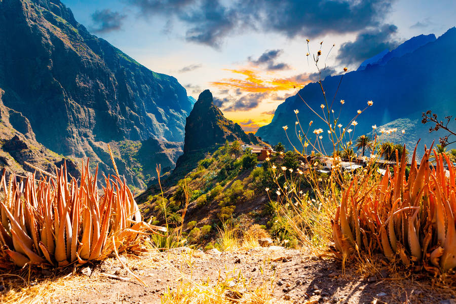 The Cross WTSB 1090 AM Listen Live - Selma, United States | Online ...