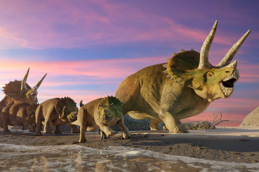 WTHO FM 101.7 Listen Live - Thomson, United States | Online Radio Box