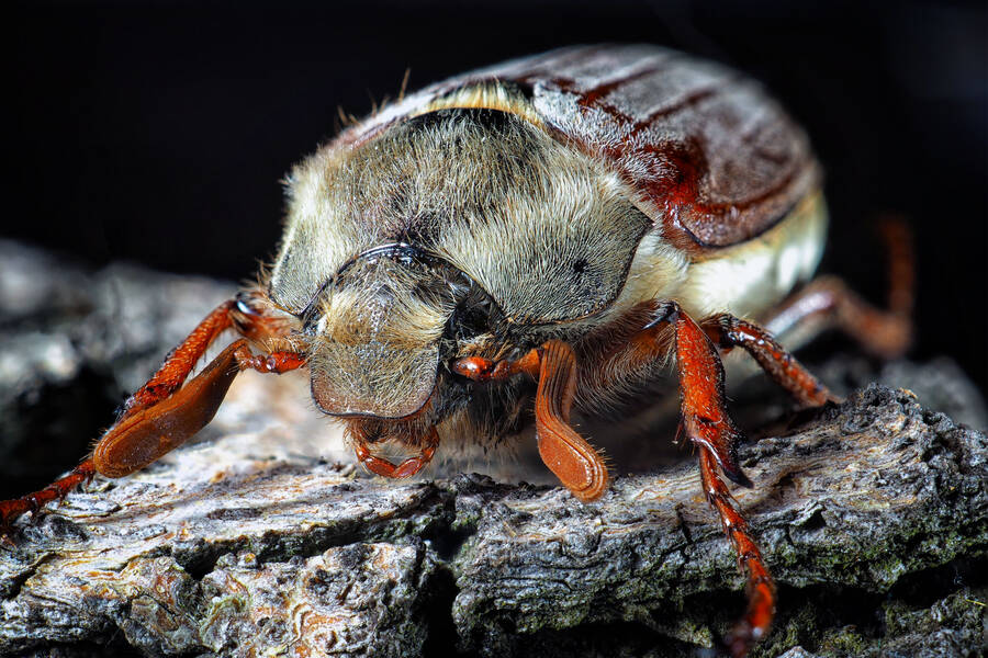 Fidelity 95.7 Listen Live - Rio Piedras, Puerto Rico | Online Radio Box