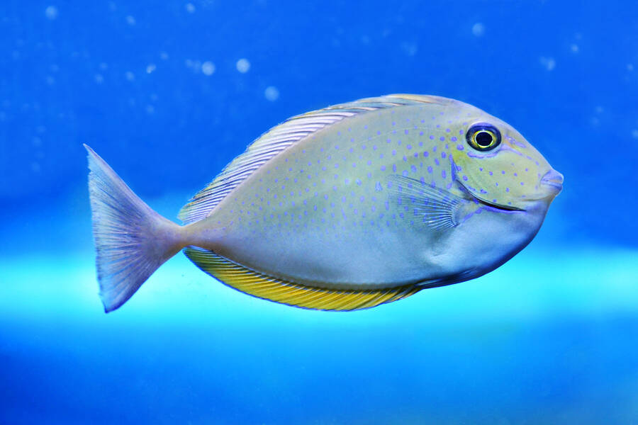 KDKR Radio Listen Live - 91.3 MHz FM, Decatur, United States | Online ...