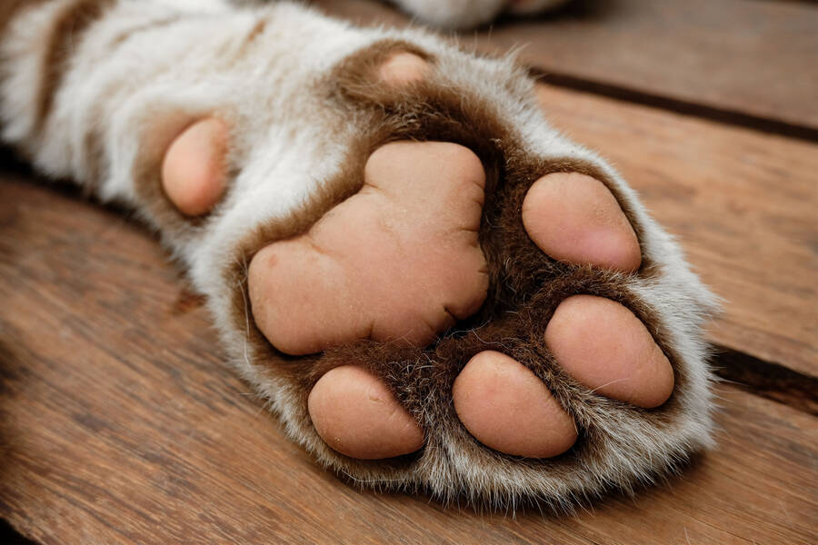 Radio Fórmula en Vivo - XERFR-AM, 970 kHz AM, Ciudad de México, México ...