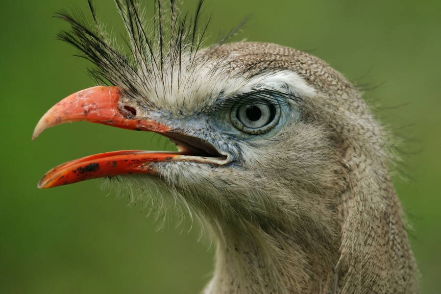 XHSJ 103.3 FM en Vivo - Saltillo, México | Online Radio Box