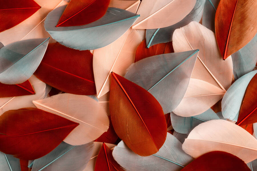 Sportsnet 590 The FAN Listen Live - CJCL, 590 kHz AM, Toronto, Canada ...