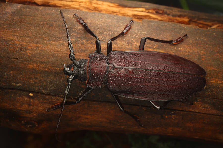 Progressive Radio Network Listen Live - New York, United States ...