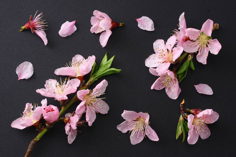 98.5 KLUC Listen Live - Las Vegas, United States | Online Radio Box