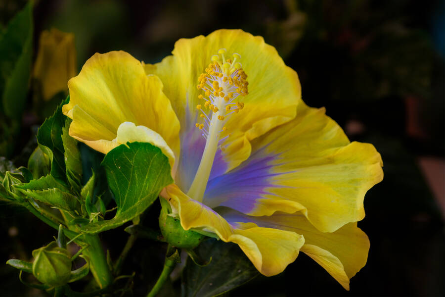 POWER 95 FM Listen Live - 95.1 MHz FM, Hamilton, Bermuda | Online Radio Box