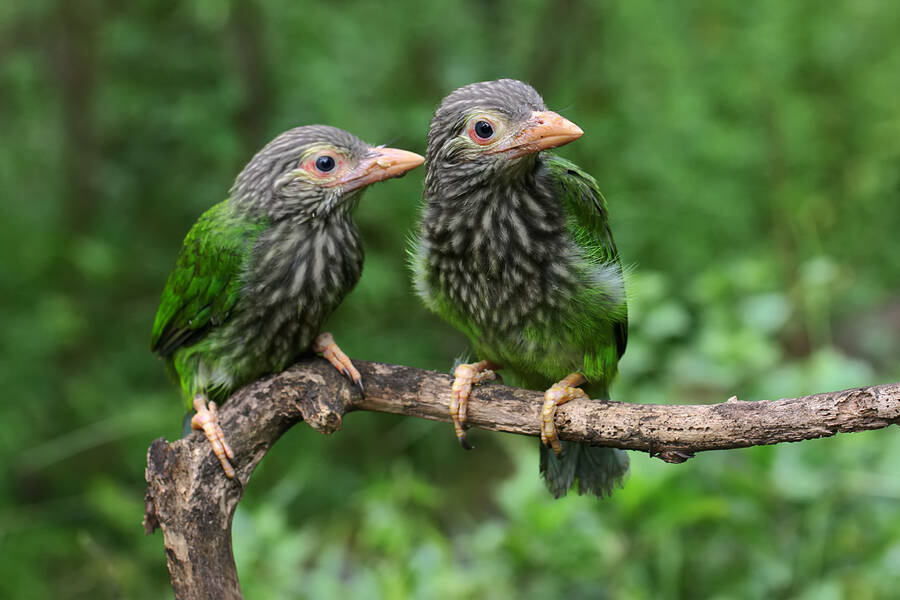 The Sky 97.3 FM Listen Live - Micanopy, United States | Online Radio Box