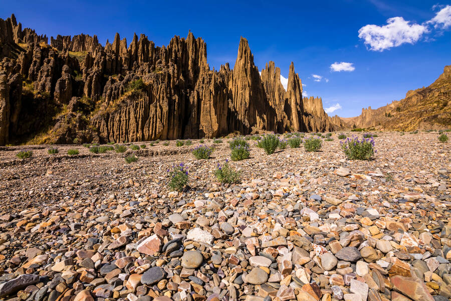 El Vacilon De La Mañana Listen Live - 97.9 MHz FM, New York, United ...