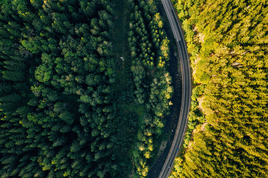 Listen to California radio stations online - best California music ...