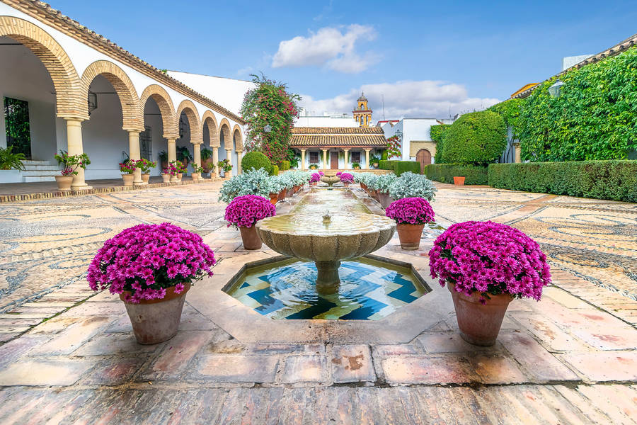 El Zol 97.1 Listen Live - Tampa, United States | Online Radio Box