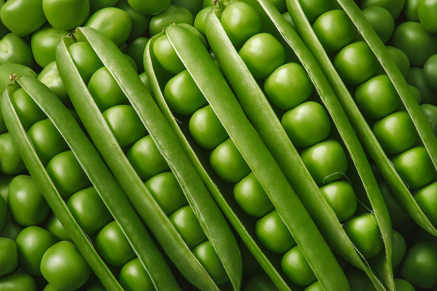 Zaa Radio Listen Live - 99.3 MHz FM, Tamale, Ghana | Online Radio Box