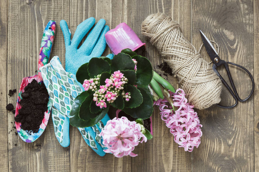 WIFC Listen Live - 95.5 MHz FM, Wausau, United States | Online Radio Box