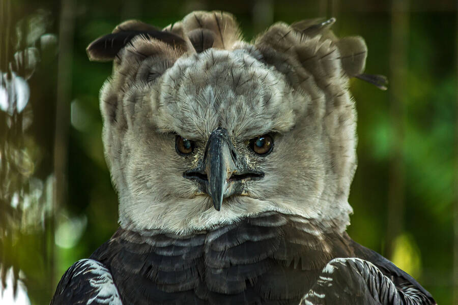 WKEI - Newstalk 1450AM/101.1 FM Listen Live - Kewanee, United States ...