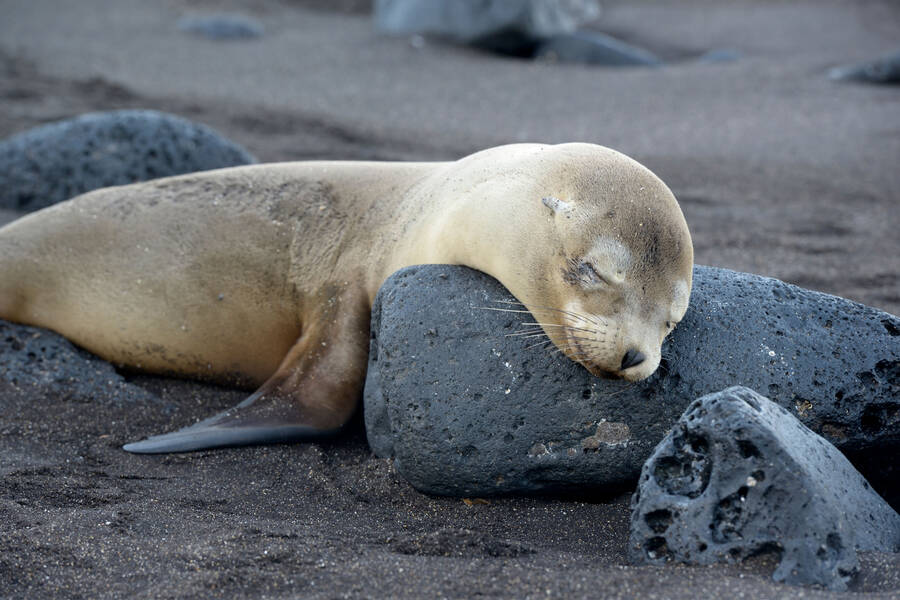 104.5 KDAT Listen Live - Cedar Rapids, United States | Online Radio Box