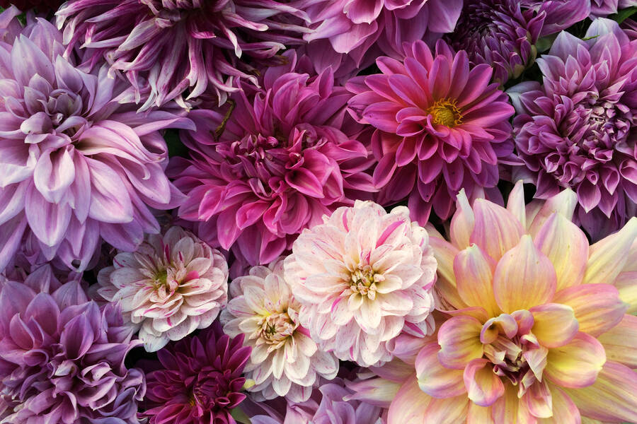 Radio BeO live hören - 88.8 MHz FM, Bern, Schweiz | Online Radio Box