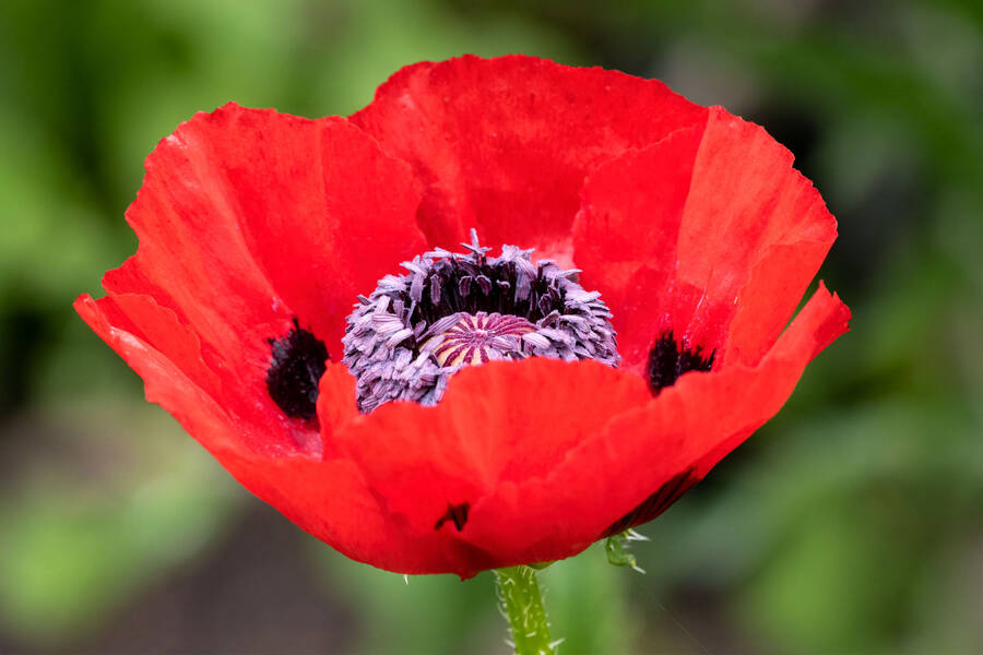 Willy Class X en Direct - Vilvoorde, Belgique | Online Radio Box