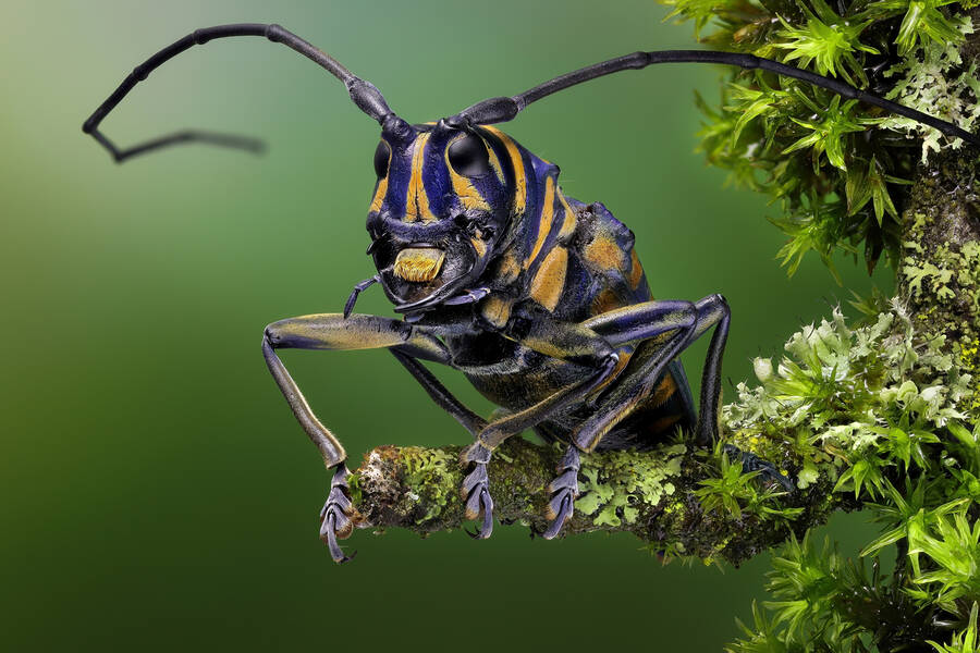 WRIU 90.3 FM Listen Live - Kingston, United States | Online Radio Box