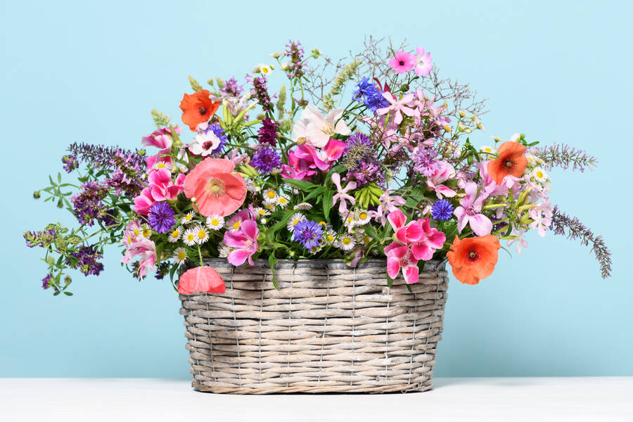 WNIS Listen Live - 790 kHz AM, Norfolk, United States | Online Radio Box