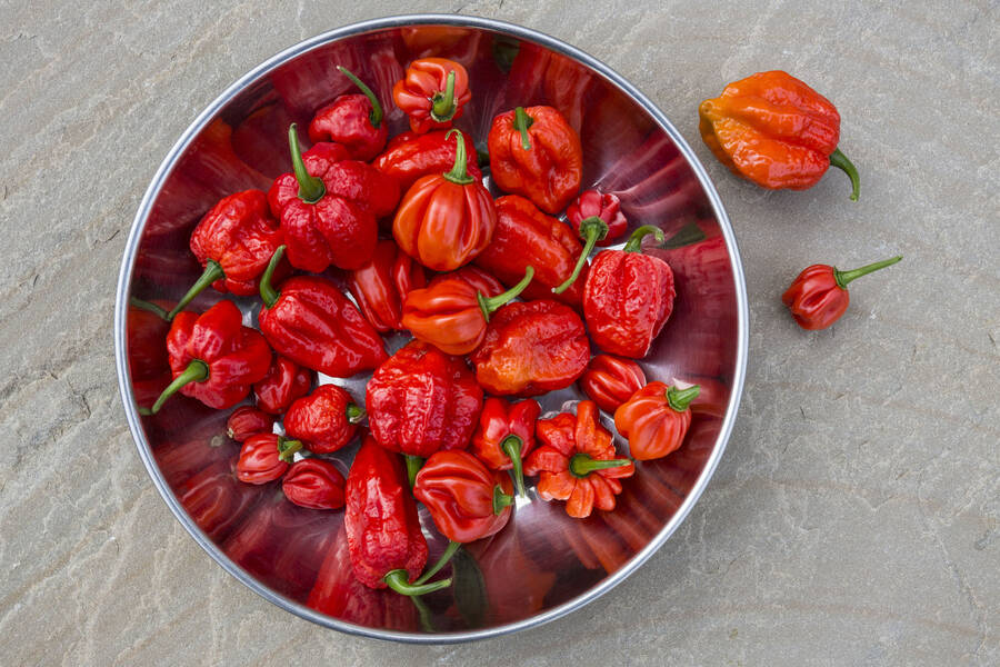 WTWA 1240 AM Listen Live - Thomson, United States | Online Radio Box