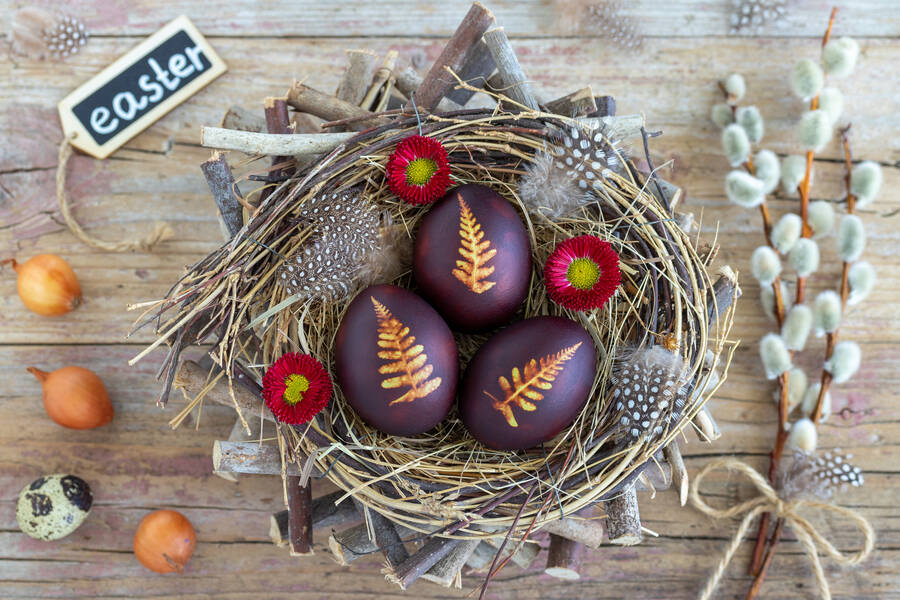 WKDK 1240 AM Listen Live - Newberry, United States | Online Radio Box