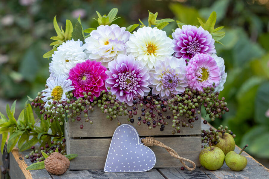 Q102 80s Listen Live - Dublin, Ireland | Online Radio Box