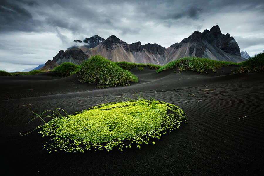 KCOW - AM 1400 Listen Live - Alliance, United States | Online Radio Box