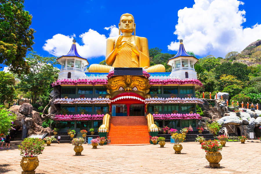 KCHK Listen Live - 95.5 MHz FM, New Prague, United States | Online ...