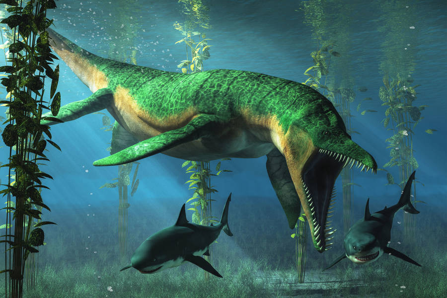 The Wolf 99.5 FM Listen Live - Fort Worth, United States | Online Radio Box