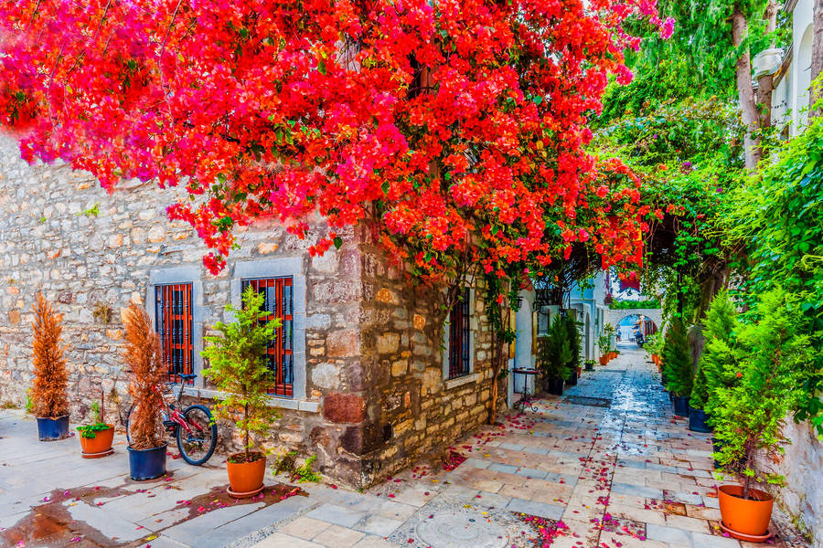 Current time in Turkey, Local Time Zone, DST information | Dayspedia