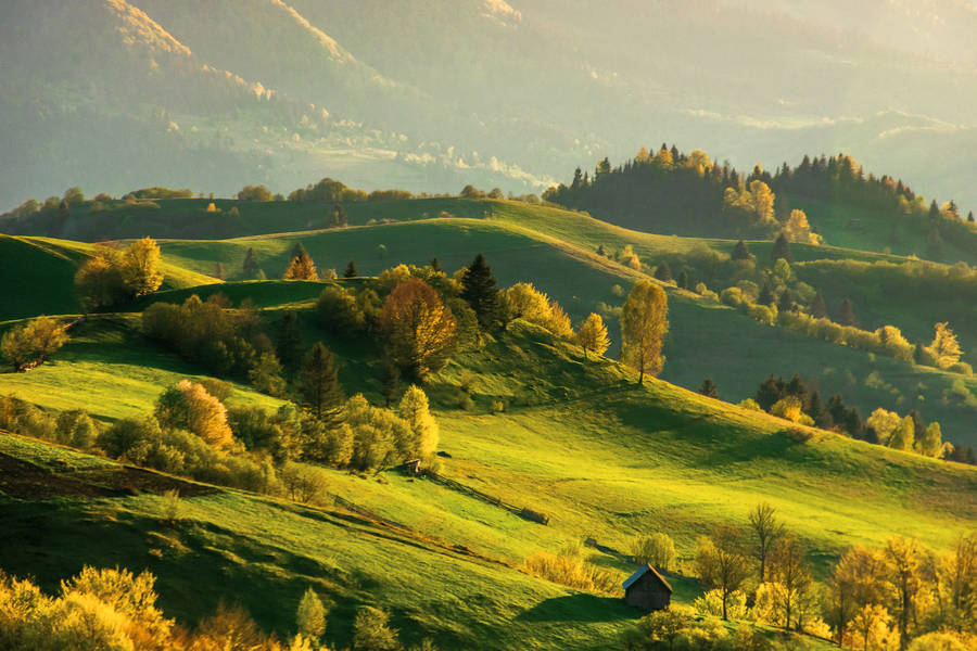 AM800 CKLW Listen Live - 800 kHz AM, Windsor, Canada | Online Radio Box