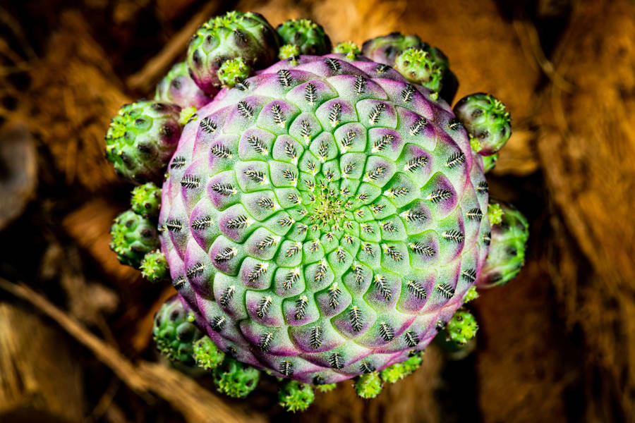 KLBJ News Radio 590 AM Listen Live - Austin, United States | Online ...