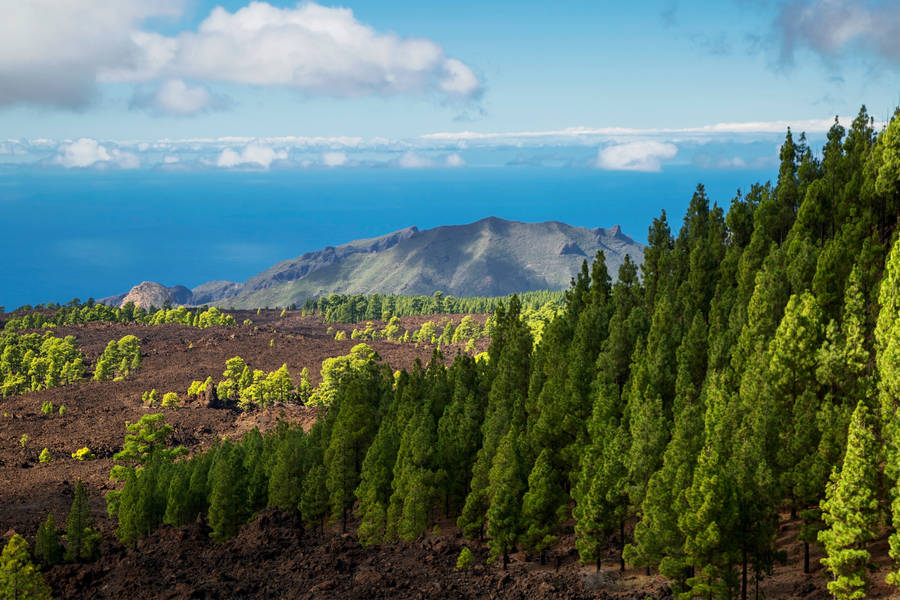 B97 & B93 Hawaii's Classic Hits Listen Live - 97.1 MHz FM, Hilo, United ...