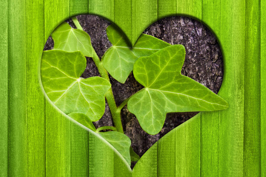 94 WIP Radio Listen Live - 94.1 MHz FM, Philadelphia, United States ...