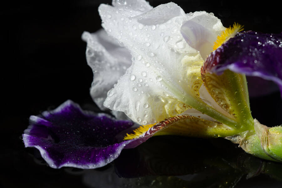 Atlantic 252 Classics live - London, United Kingdom | Online Radio Box