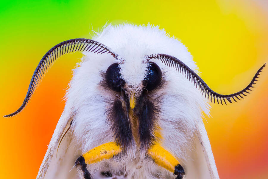 KVOR 740 AM Listen Live - Colorado Springs, United States | Online ...