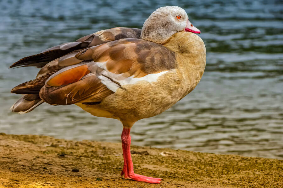 3RRR Listen Live - 102.7 MHz FM, Melbourne, Australia | Online Radio Box