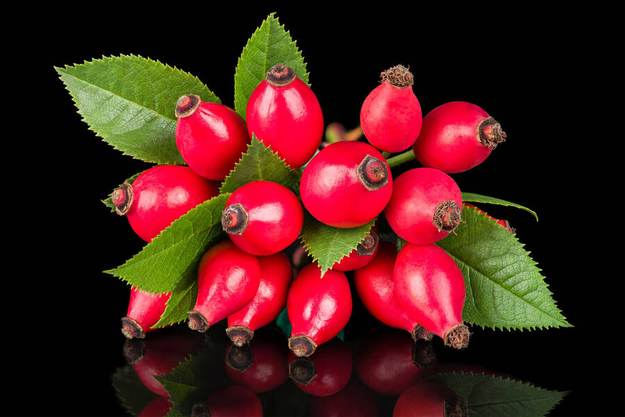 WZDM 92.1 FM Listen Live - Vincennes, United States | Online Radio Box