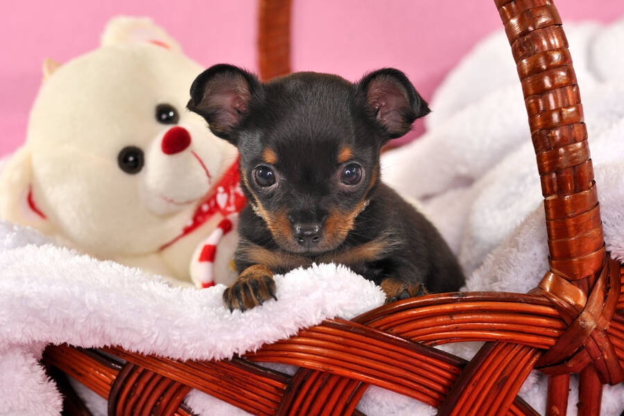 Defjay Listen Live - Miami, United States | Online Radio Box