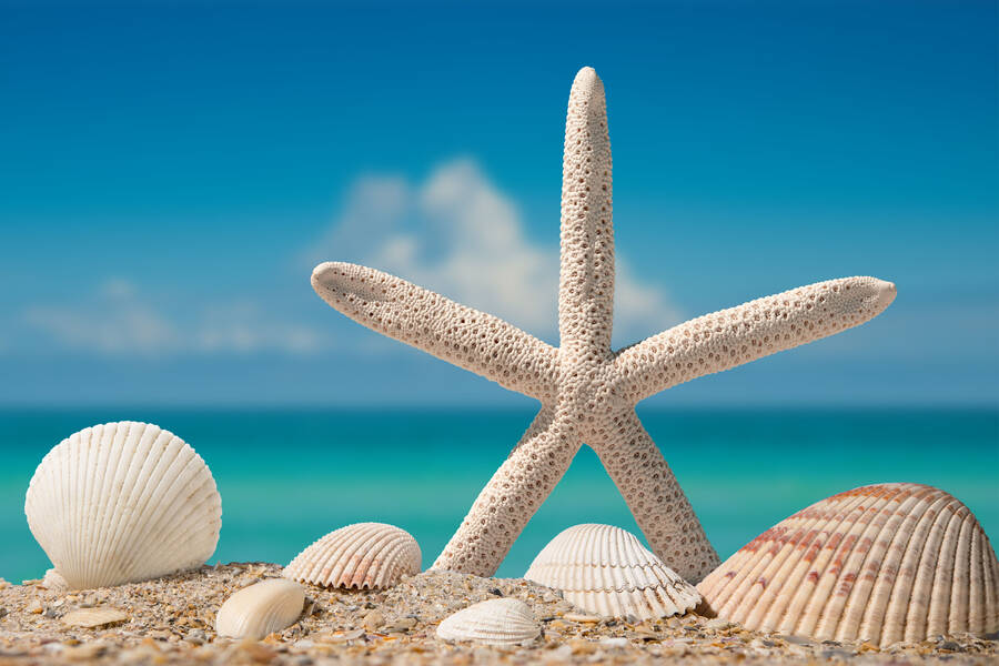 Newstalk 620 WVMT Listen Live - 620 kHz AM, Burlington, United States ...