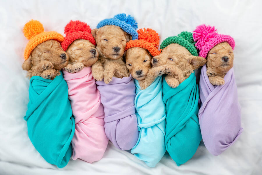 Derti FM Live - 104.9 MHz FM, Ρόδος | Online Radio Box