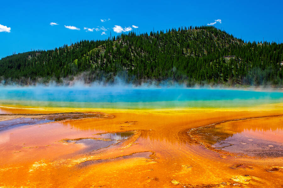 The Joy FM Listen Live - 93.3 MHz FM, Atlanta, United States | Online ...