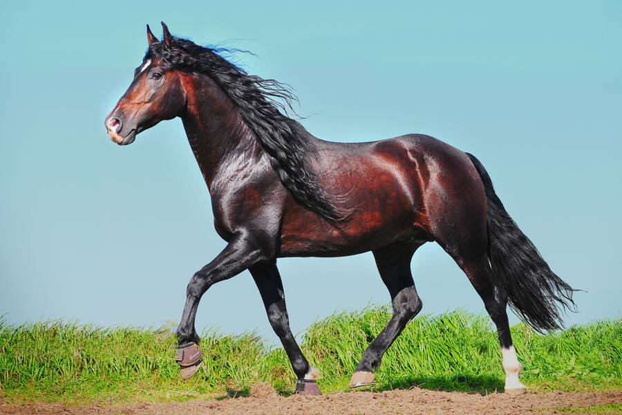 DZMM Radyo Patrol live streaming - 630 kHz AM, Quezon, Philippines ...