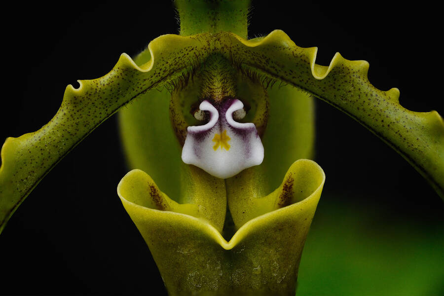 WFGH Listen Live - 90.7 MHz FM, Fort Gay, United States | Online Radio Box