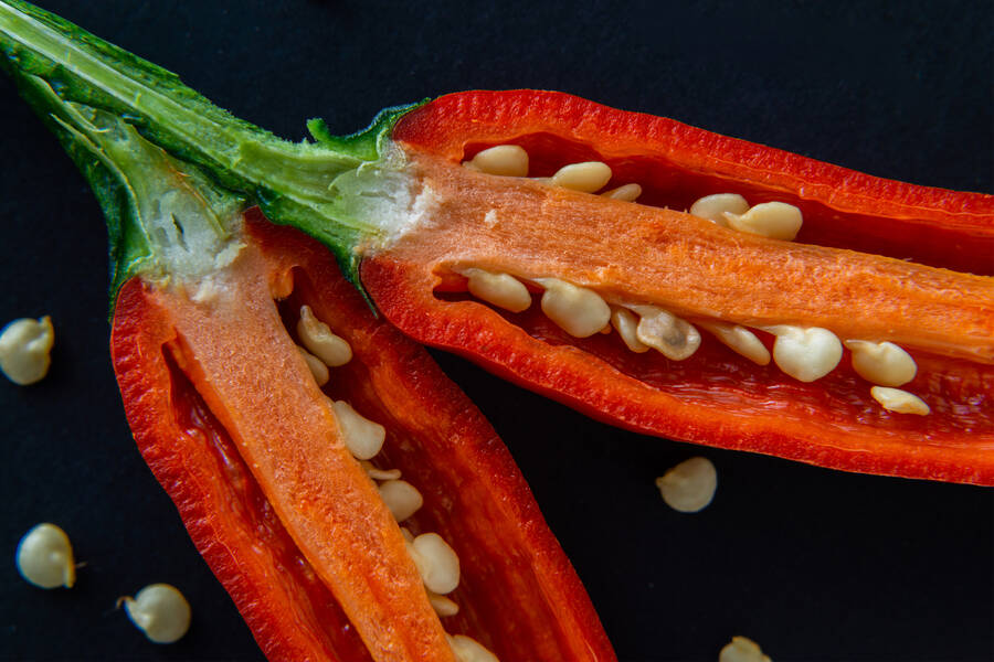 Fresh FM Listen Live - 92.7 MHz FM, Adelaide, Australia | Online Radio Box