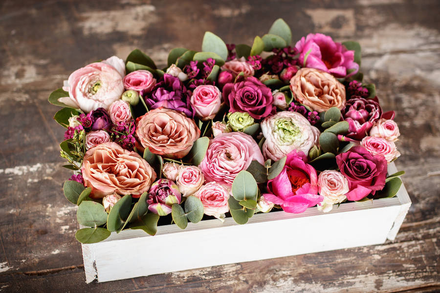 WTCM Gold Listen Live - 1310 kHz AM, Traverse City, United States ...