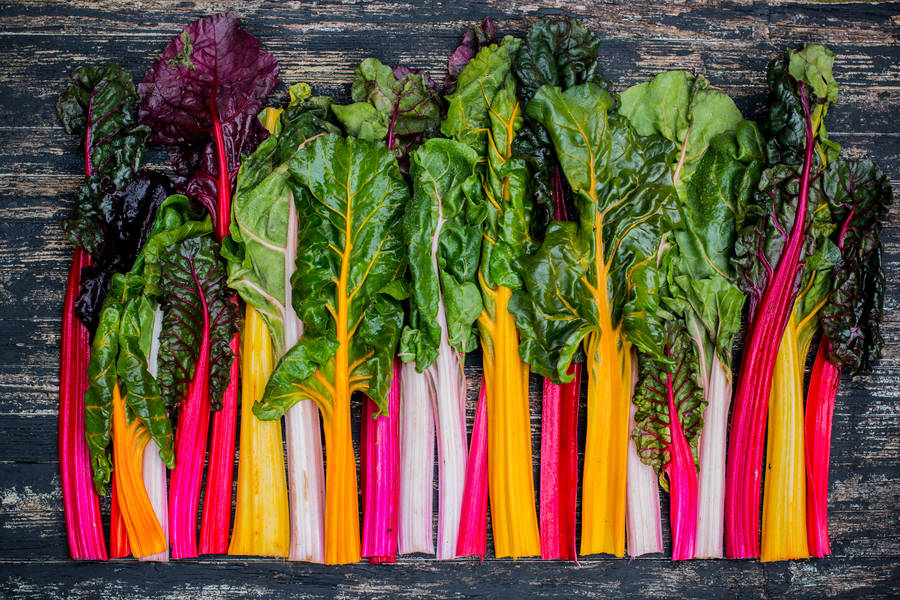 WAO en Vivo - 97.5 MHz FM, Ciudad de Colón, Panamá | Online Radio Box